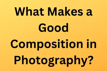 What Makes a Good Composition in Photography – Photography Explained ...